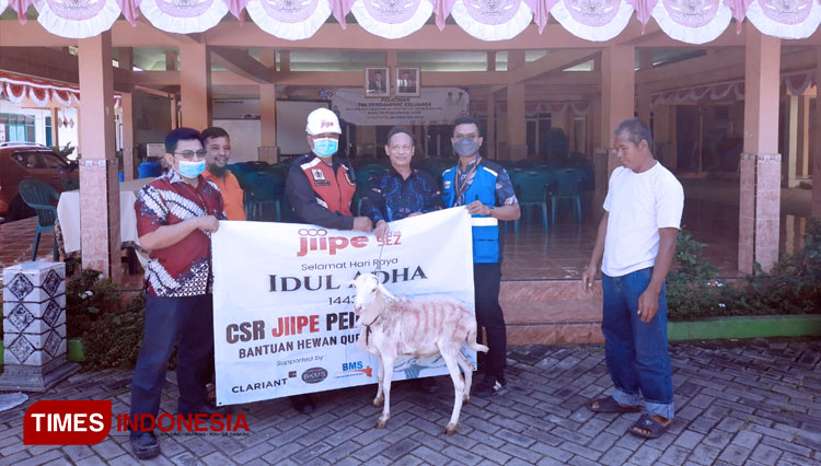 Idul Adha, Manajemen JIIPE Salurkan 20 Ekor Domba dan 2 Sapi ke ...
