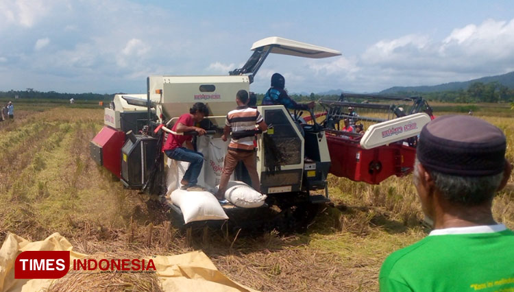 Panen Raya Pahisa Seed dan Pasar Teknologi Pertanian di Banjarnegara ...