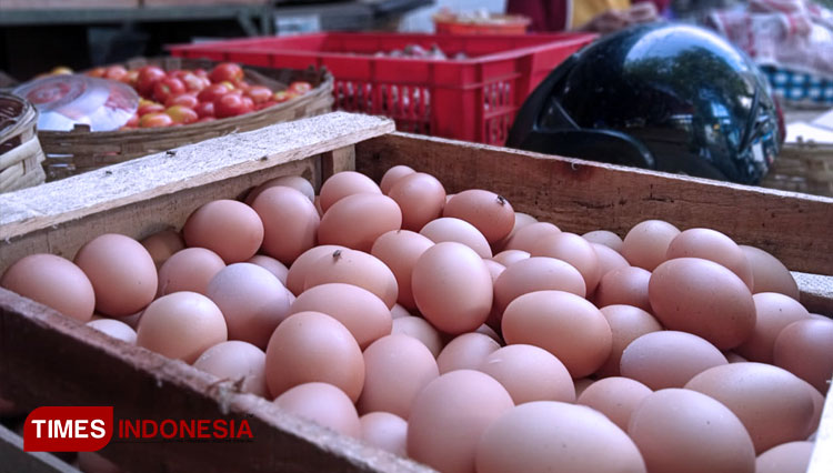Harga Telur di Banyuwangi Naik, Ini Penyebanya - TIMES Indonesia