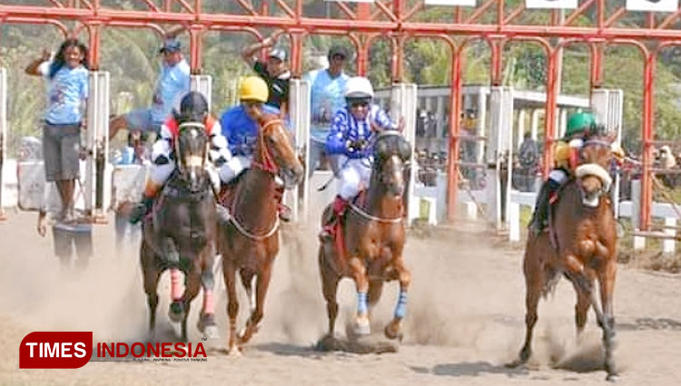 Sebanyak 97 Kuda Utusan Kontingen Se-Jabar Siap Berpacu di Kabupaten ...