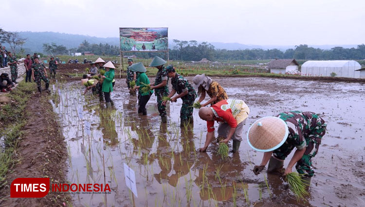 Korem 071 Wijayakusuma - Unsoed Kolaborasi Kuatkan Ketahanan Pangan ...