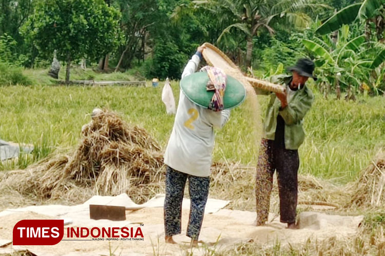 Sektor Pertanian Dan Umkm Topang Ekonomi Kabupaten Majalengka Saat