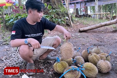 Musim Durian Tiba, Banyak Warga Probolinggo Alih Profesi Dadakan - TIMES Indonesia