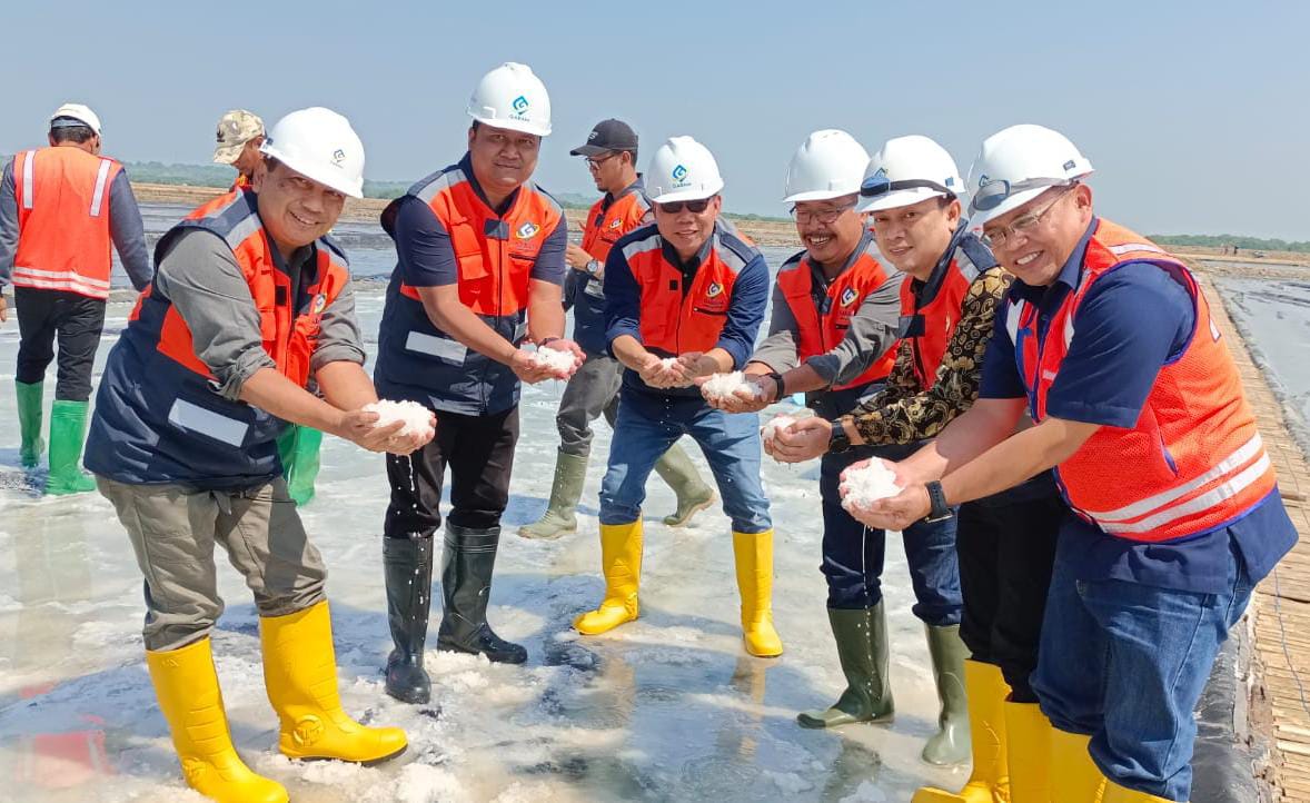 Panen Perdana PT Garam 2023 di Tengah Fenomena El Nino, Potensi ...