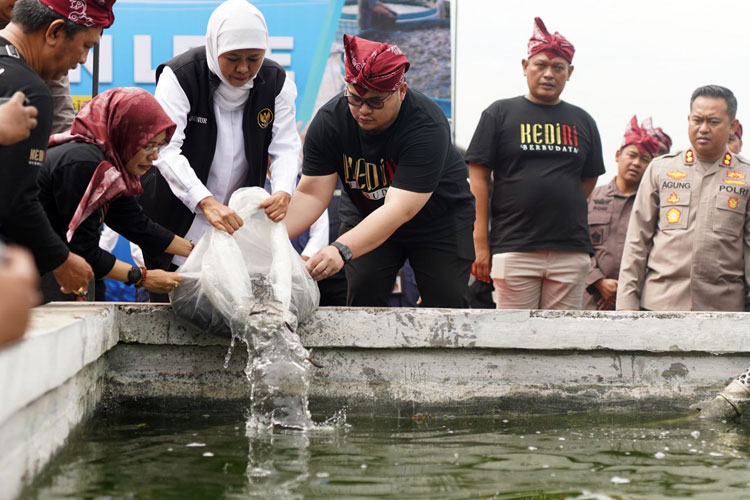 Gubernur Jatim dan Bupati Kediri Bersinergi Untuk Mendorong Penguatan ...