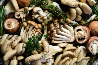 Manfaat Mengkonsumsi Jamur Bagi Kesehatan - TIMES Indonesia