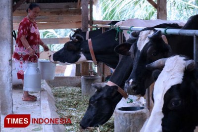 Berpotensi Cemari Lingkungan, Dosen UB Beri Solusi Pengolahan Limbah ...