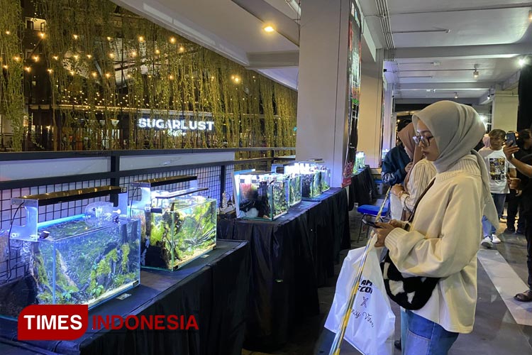 MAFEST 2023 Jadi Ajang Para Aquascaper untuk Unjuk Gigi - TIMES Indonesia