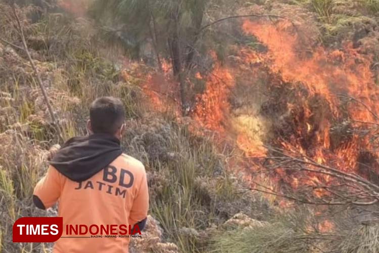 Api di Savana Gunung Bromo Masih Berkobar Akibat Flare Prewedding ... Api di Savana Gunung Bromo Masih Berkobar Akibat Flare Prewedding ...