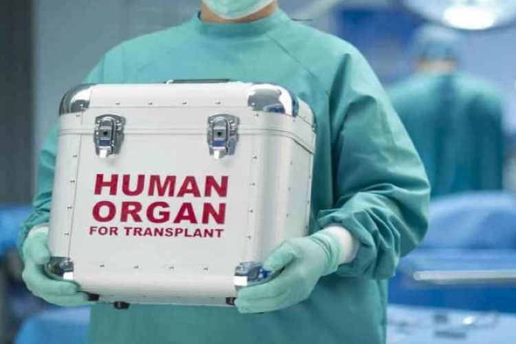 Jaringan Perdagangan Organ Manusia di Pakistan Dibongkar, Fakta Kengeriannya Seperti Ini ...