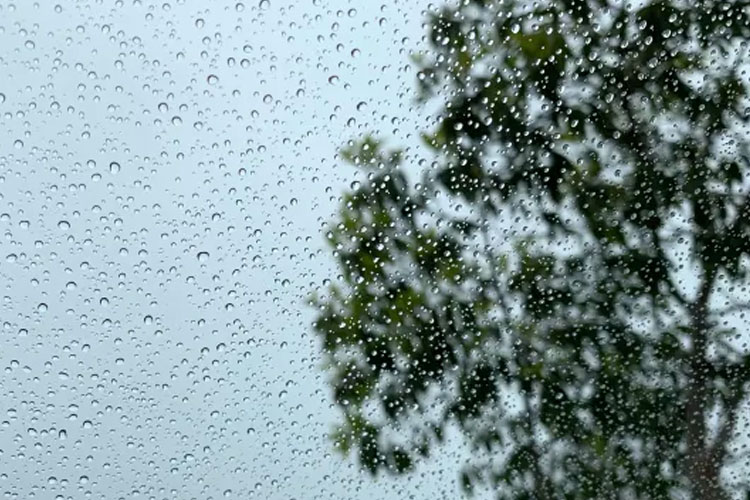 Prakiraan BMKG Minggu (14/10/2023): Siang Ini Kota Batu Hujan Ringan ...