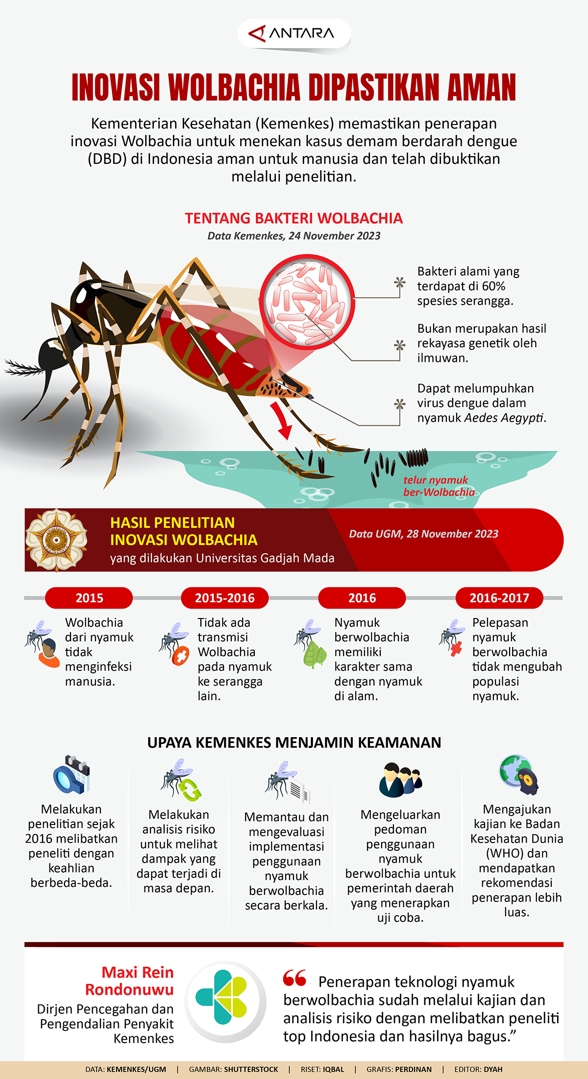 INFO GRAFIS: Perangi Demam Berdarah Dengue dengan Nyamuk Wolbachia ...