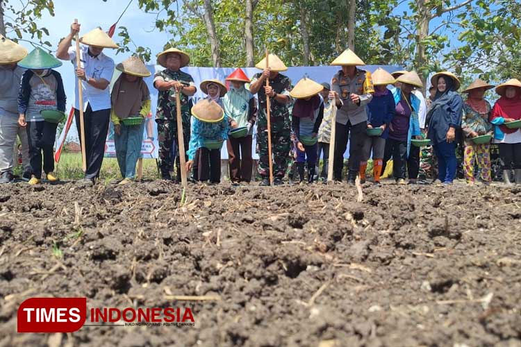 Menjawab Tantangan Presiden Jokowi, Pangdam V Brawijaya "Sulap" Lahan ...
