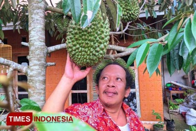 Petani Pacitan Berbagi Tips Sukses Menanam Durian Bawor - TIMES Indonesia