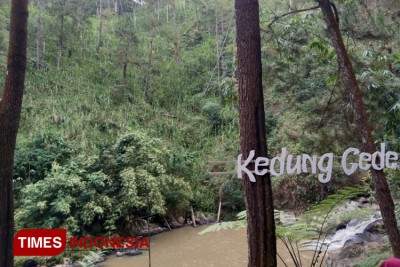 Wisata Konservasi Kedung Gede, Tempat Asri yang Lestari - TIMES Indonesia