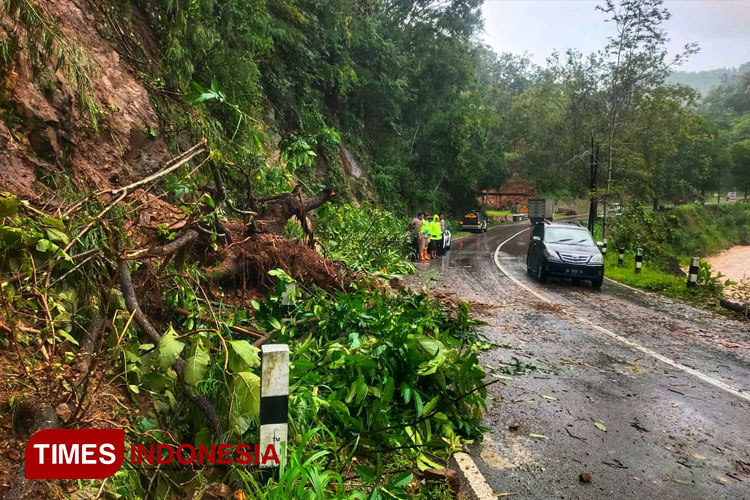 Tanah Longsor dan Pohon Tumbang Tutup Jalur Provinsi Pacitan-Ponorogo, Petugas Sigap Evakuasi ...