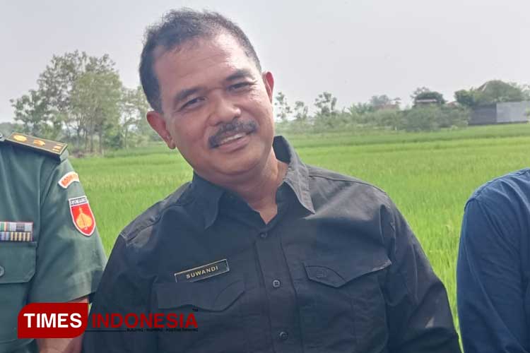Kementan RI Kagum Percepatan Tanam Padi di Bantul Capai 2.200 Hektare ...