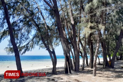 Pantai Cemara: East Sumba's Hidden Paradise of White Sands and Pine ...