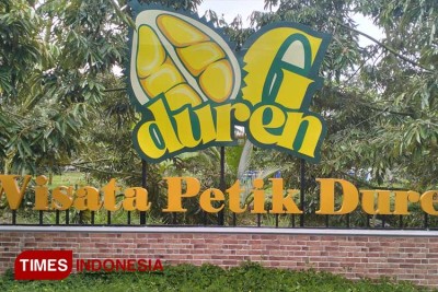 Tips Tanam Durian dengan Kualitas Terbaik dari Ocean Garden - TIMES ...