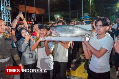 Bandeng 14,6 Kg Juara Kontes Bandeng Kawak Gresik, Laku Rp50 Juta ...