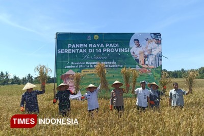 Panen Raya Padi Serentak di 14 Provinsi, Produksi GKG Banyuwangi Capai 2.385 Ton - TIMES Indonesia