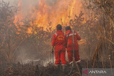 Menteri LH: Pembakaran Hutan adalah Kejahatan Lingkungan Berat - TIMES ...